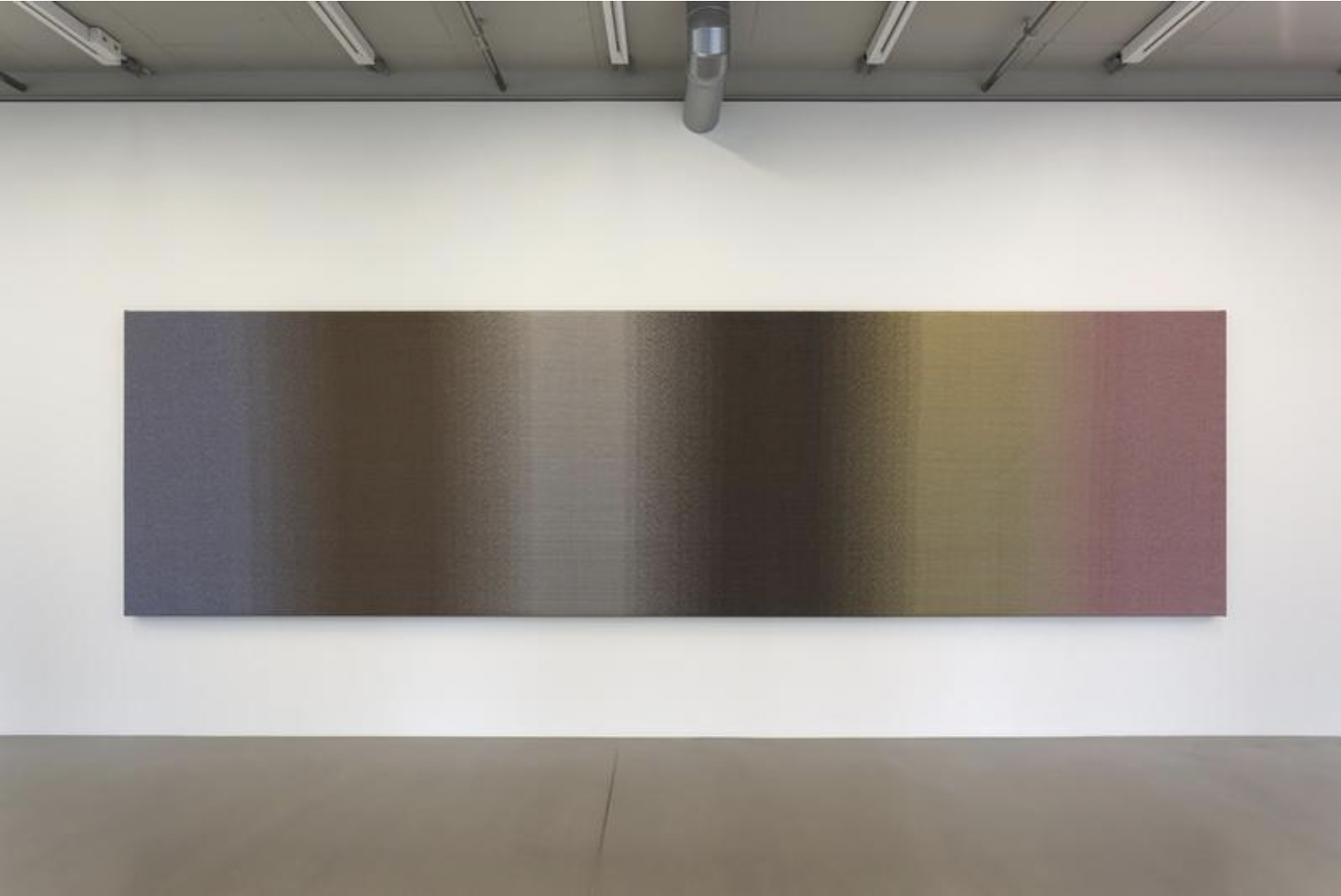 Willem de Rooij: About | Institute of Modern Art