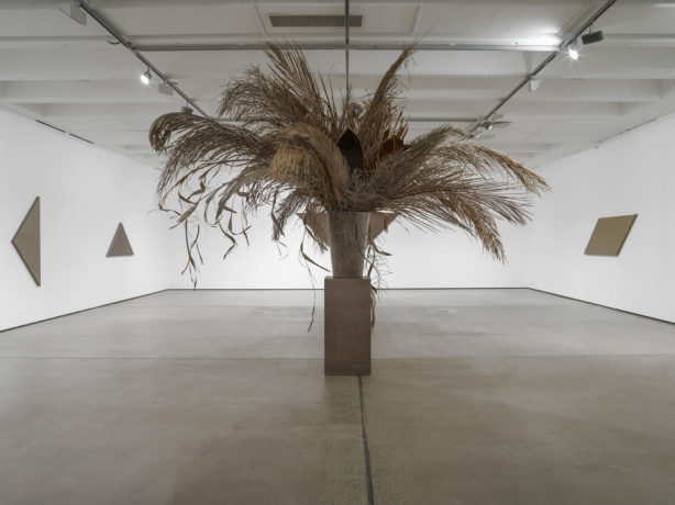 Willem de Rooij | Institute of Modern Art