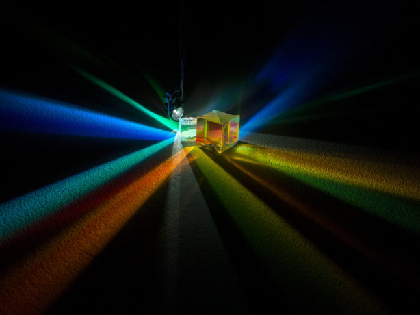 Ross Manning | Institute of Modern Art