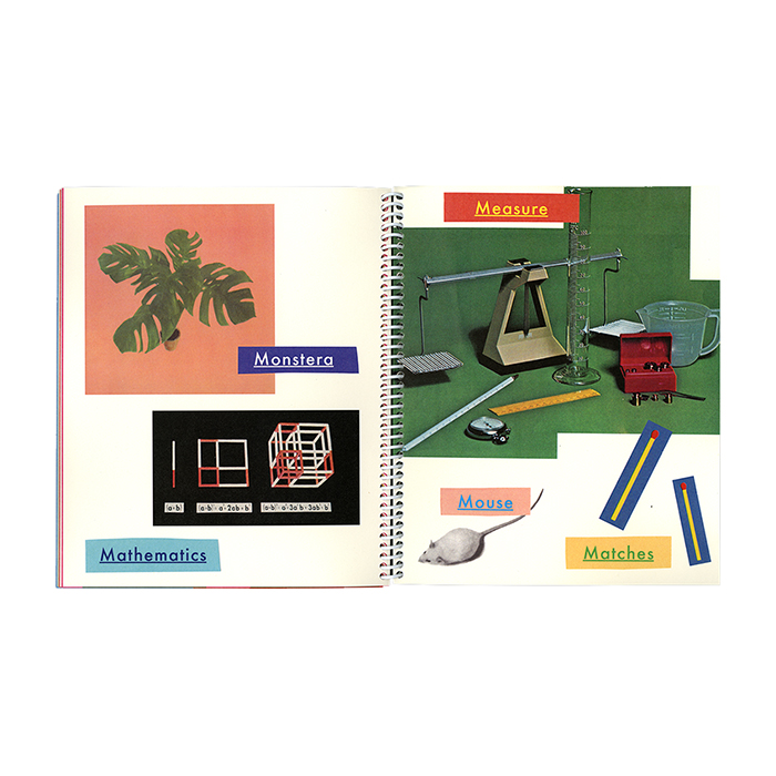 A Bric-A-Brac Collection | Institute of Modern Art