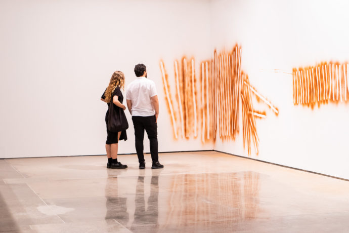 Dale Harding | Institute of Modern Art