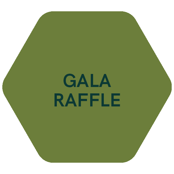 2022 Gala Raffle Ticket (1) | Institute of Modern Art