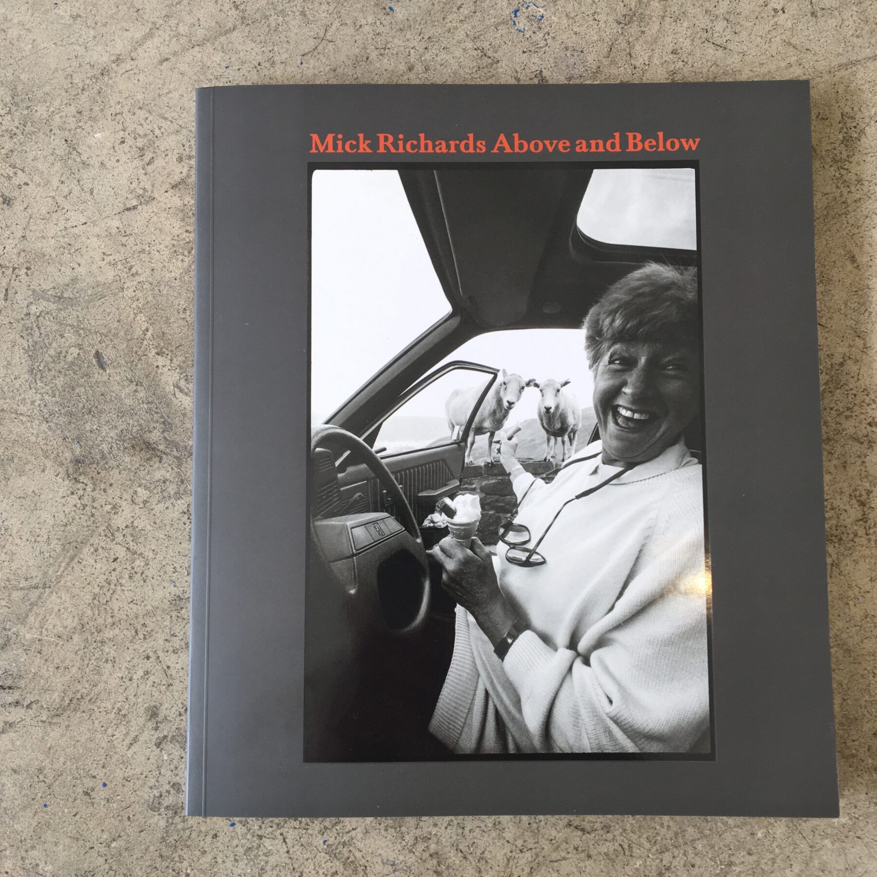 Mick Richards Above and Below | Institute of Modern Art