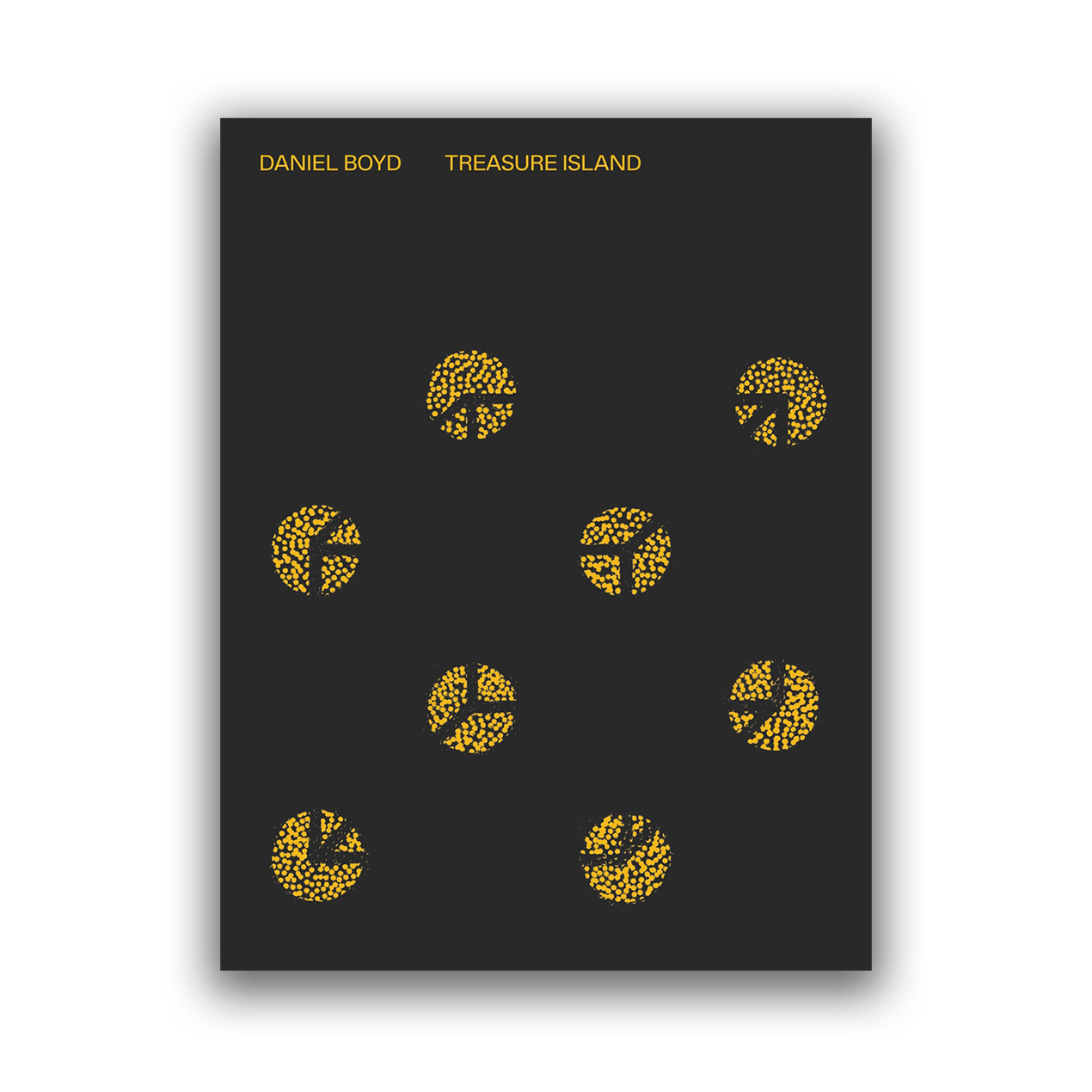 Daniel Boyd: Treasure Island | Institute of Modern Art