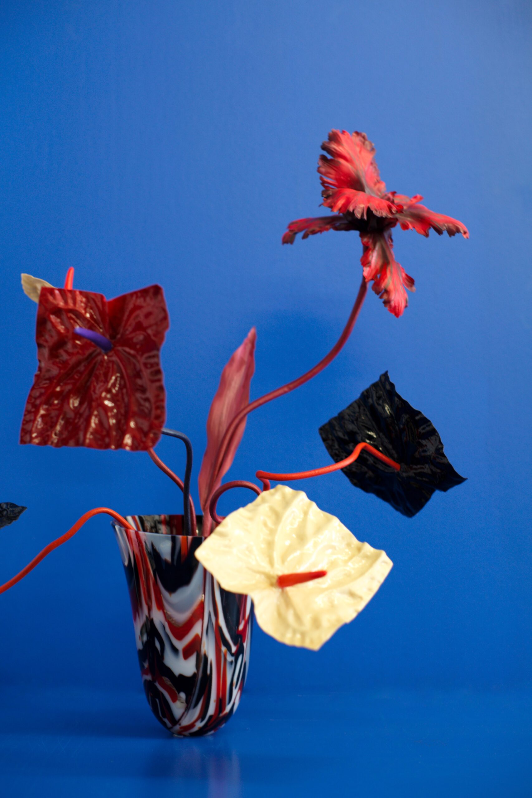 Tulip Bell Dark Ruby | Institute of Modern Art