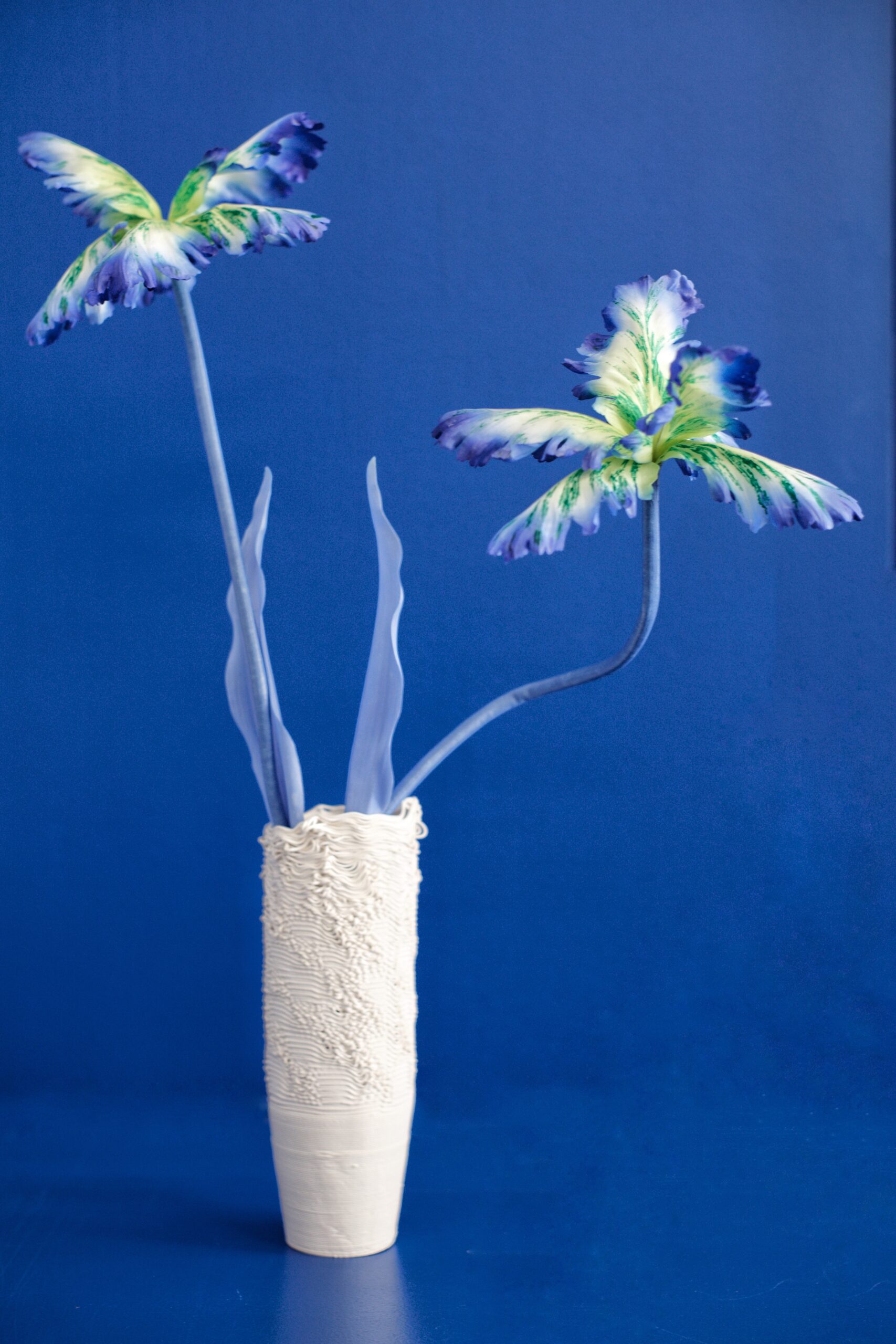 Tulip Bell Blue | Institute of Modern Art
