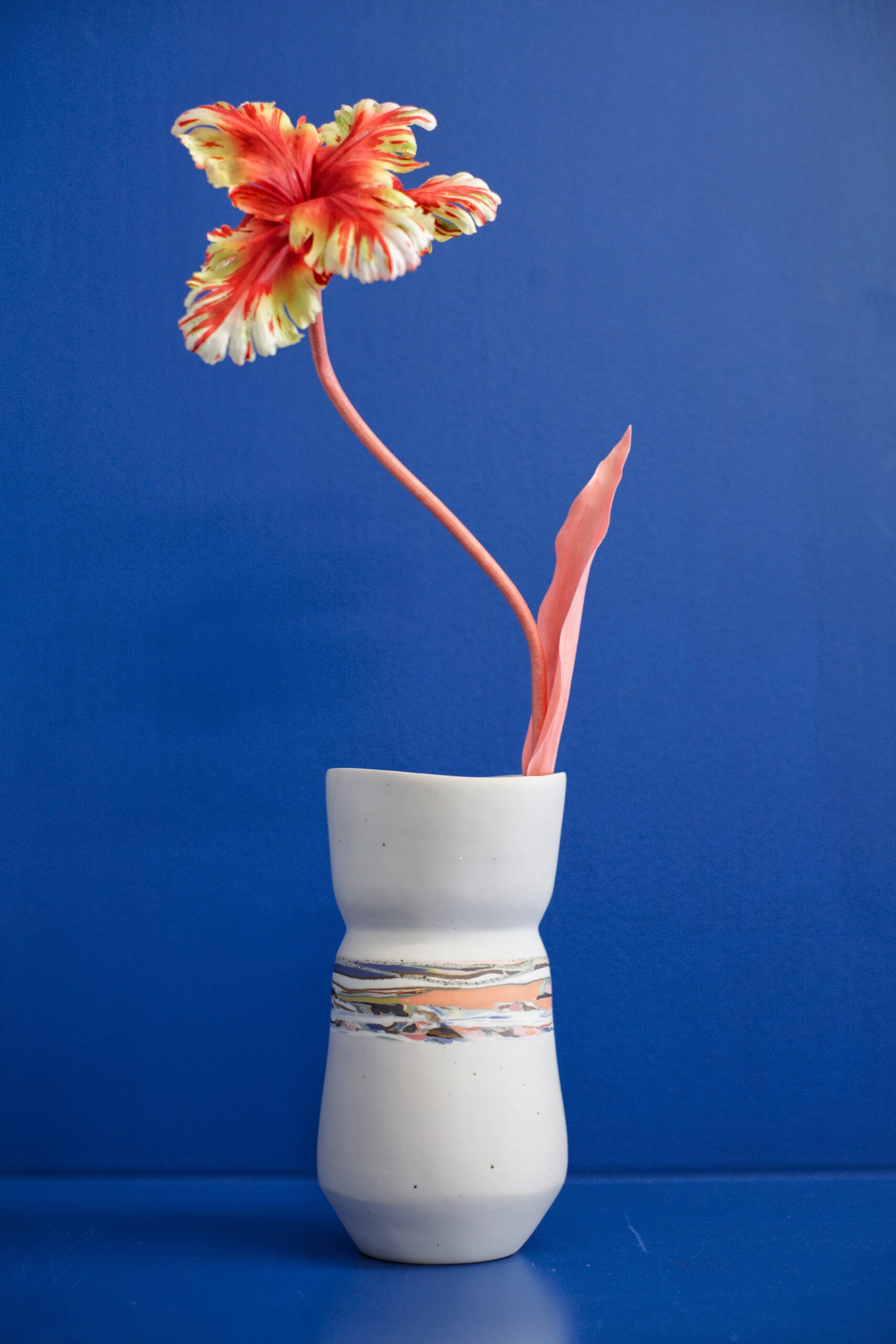 Tulip Bell Reverse Sunset | Institute of Modern Art