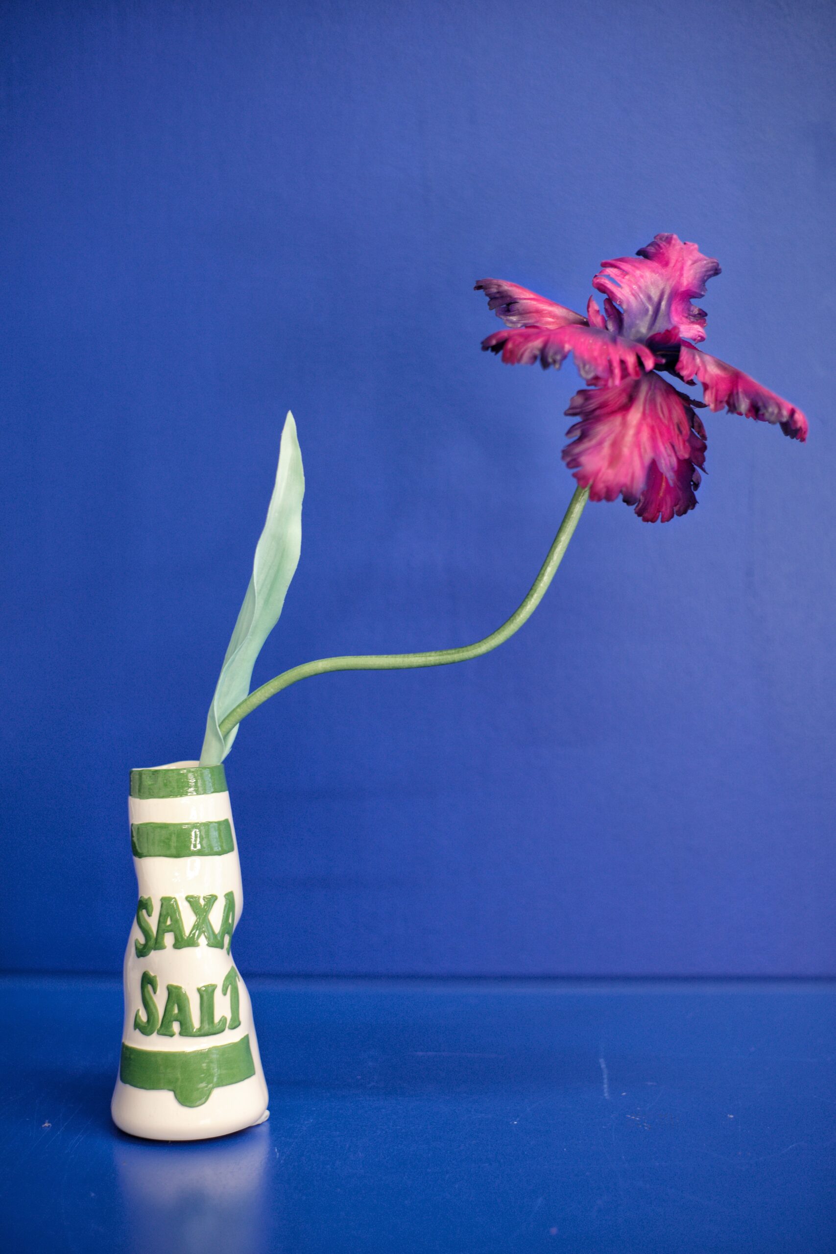 Tulip Bell Pistachio Plum | Institute of Modern Art