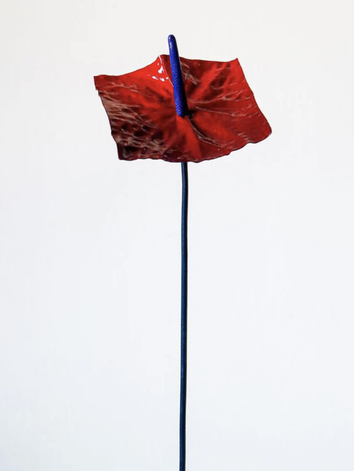 Atrium Red | Institute of Modern Art