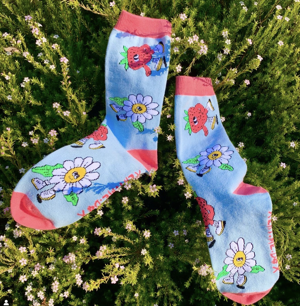 Strawberry Fields Socks by Eat Me do | Institute of Modern Art