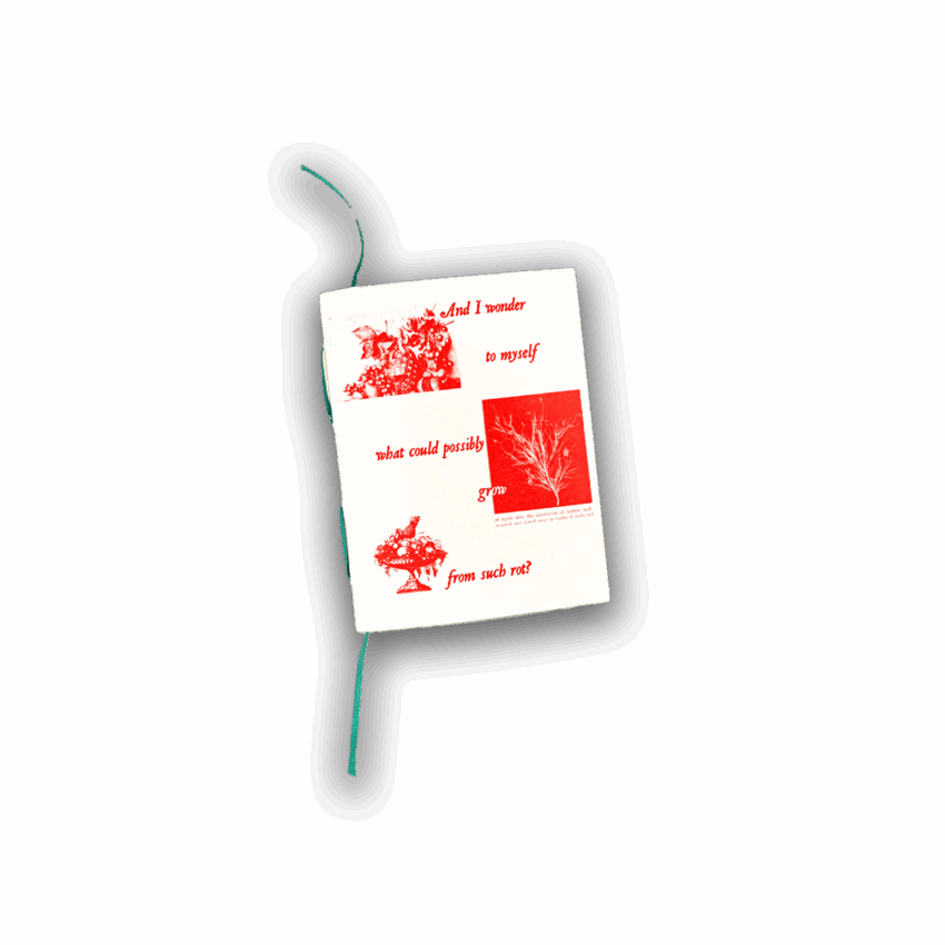 Pseudo Press – Rot Notebooks | Institute of Modern Art