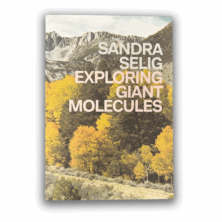 Sandra Selig Exploring Giant Molecules | Institute of Modern Art