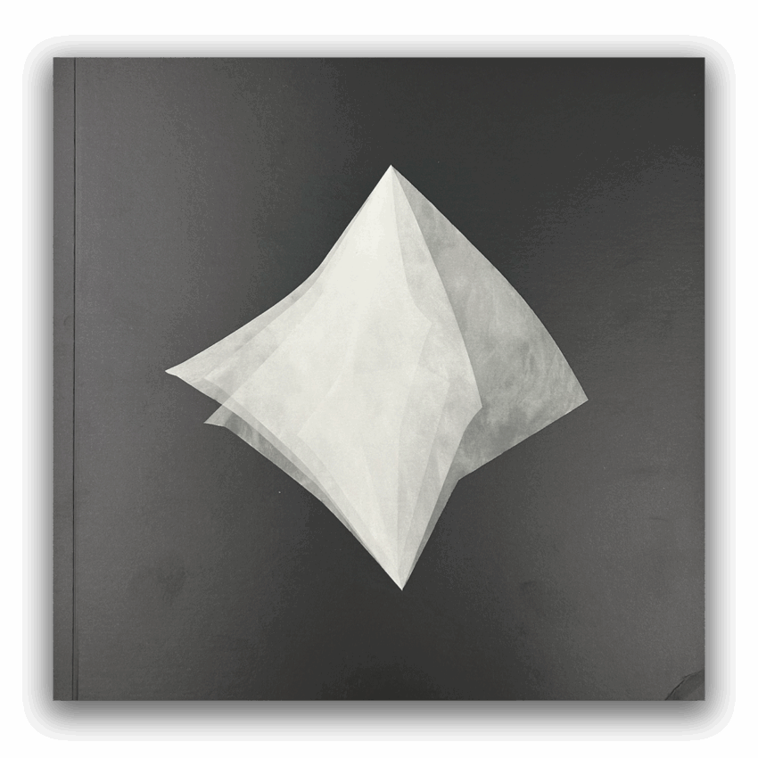 Arryn Snowball Selected Works Institute Of Modern Art arryn-snowball-selected-works-institute-of-modern-art